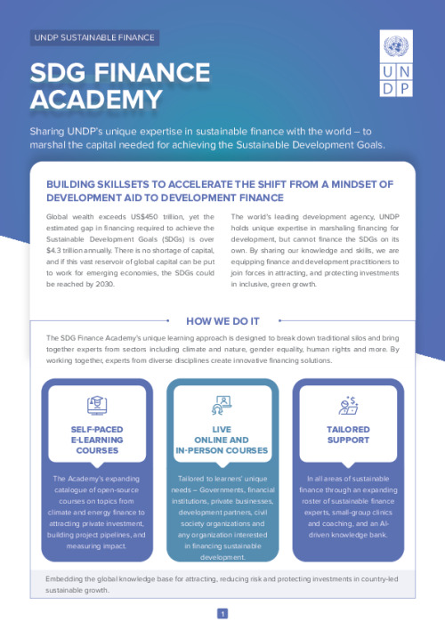 SDG Finance Academy Brochure | Sustainable finance hub